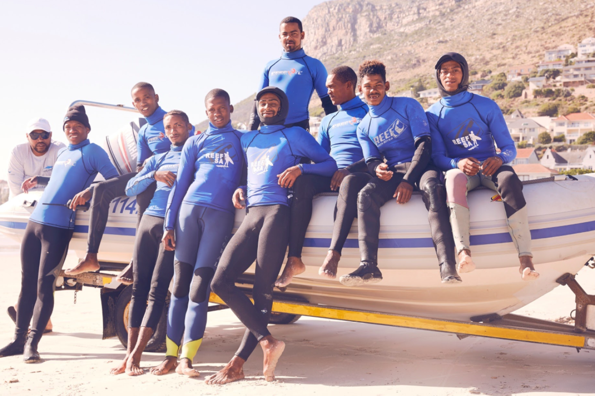 Shark Lovers to Brave 13km of Fish Hoek Exclusion Zone for Shark Safety ...