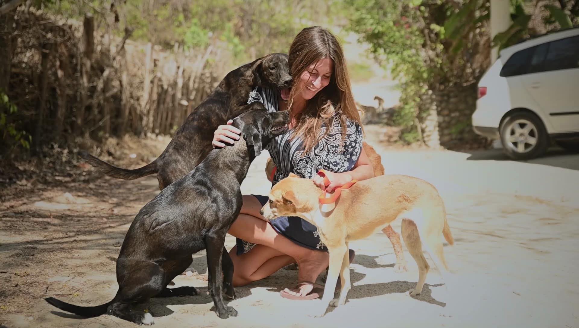 South African Mom Robbed and Stranded in Mexico While Visiting Expat ...