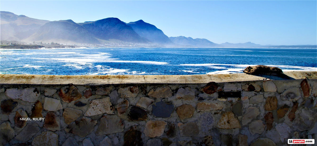 Hermanus' Breathtaking Views and Sculptures on the Cliff - SA People
