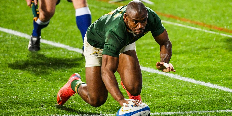 WATCH Springboks Victorious in Second Test Against Pumas - SA People