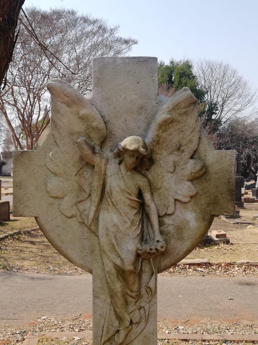Joburg to Rejuvenate Vandalised Brixton Cemetery with 2,000 Indigenous ...