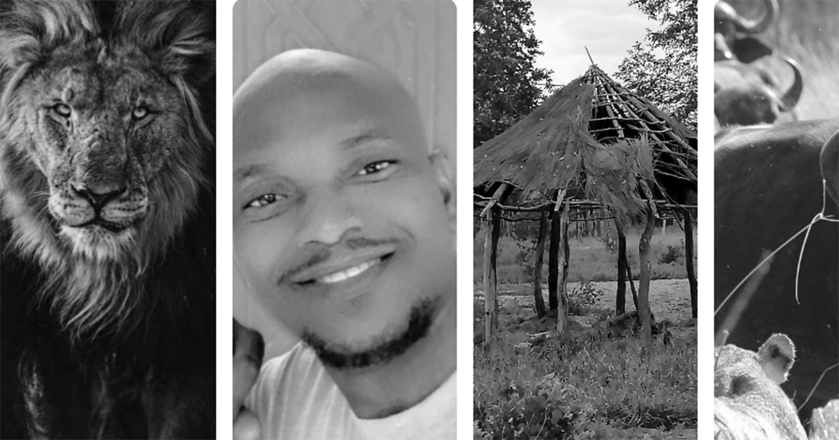 Safari Guide Recalls Terrifying Night His Uncle Was Taken by Starving ...