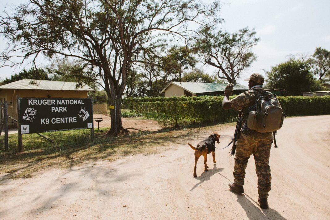 Touching New Mini-Series About K9 Dogs and Their Handlers Fighting ...