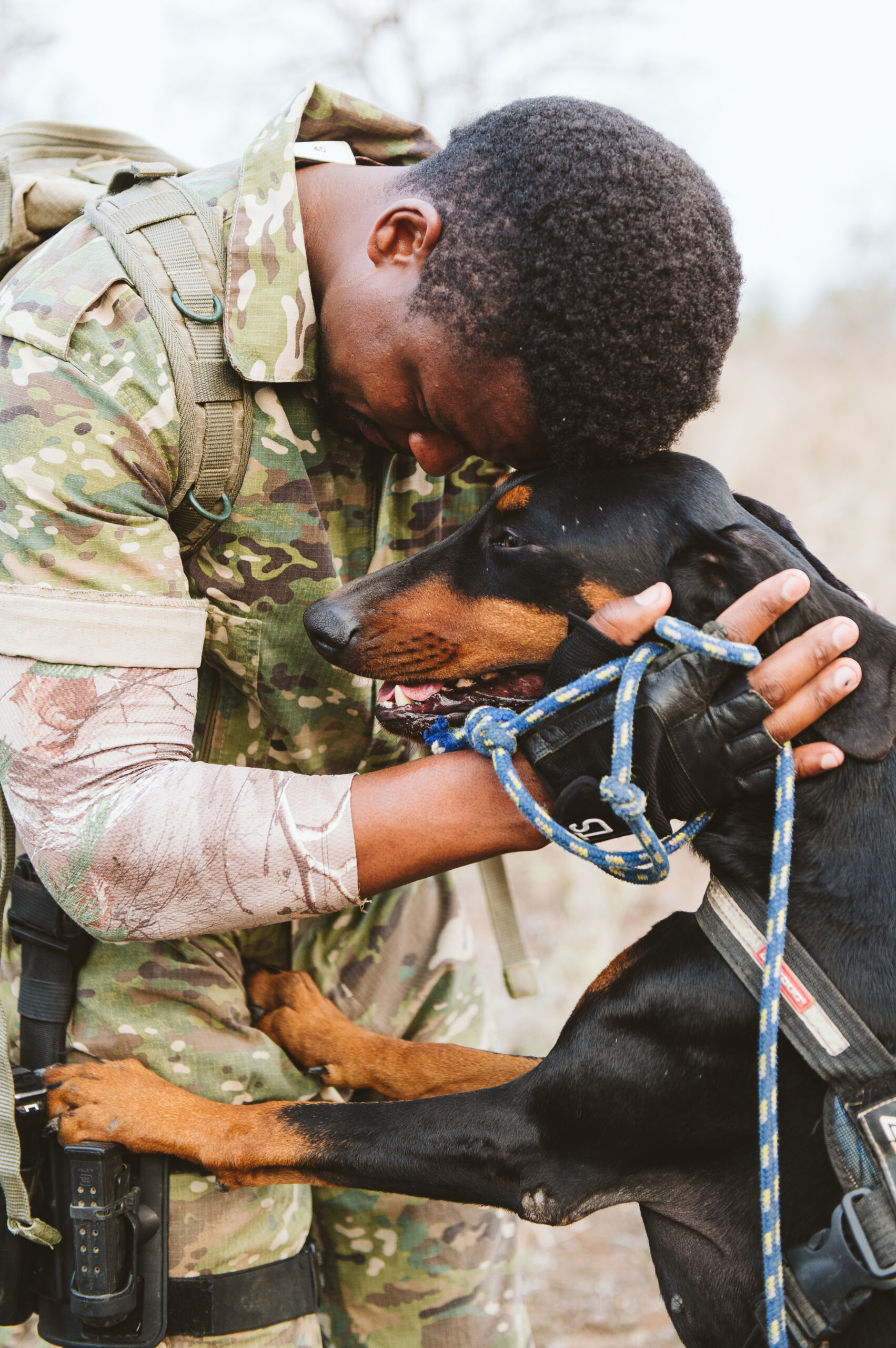 Touching New Mini-Series About K9 Dogs and Their Handlers Fighting ...