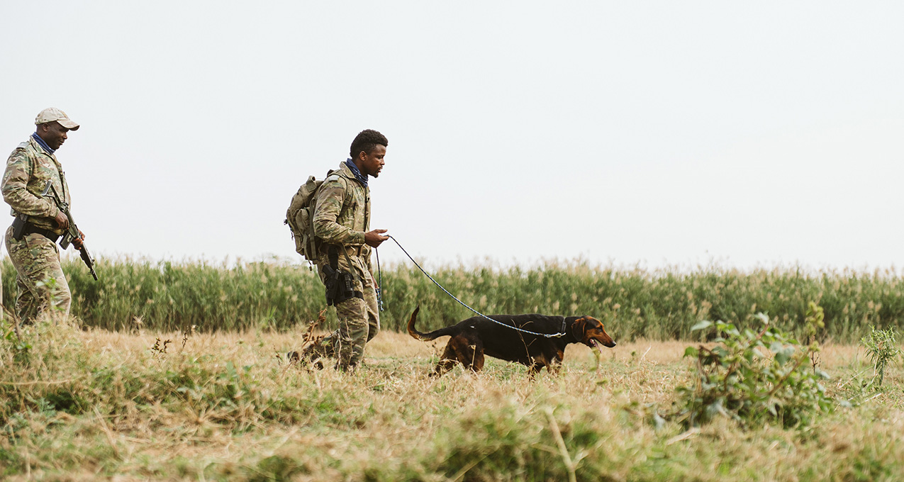 Touching New Mini-Series About K9 Dogs and Their Handlers Fighting ...