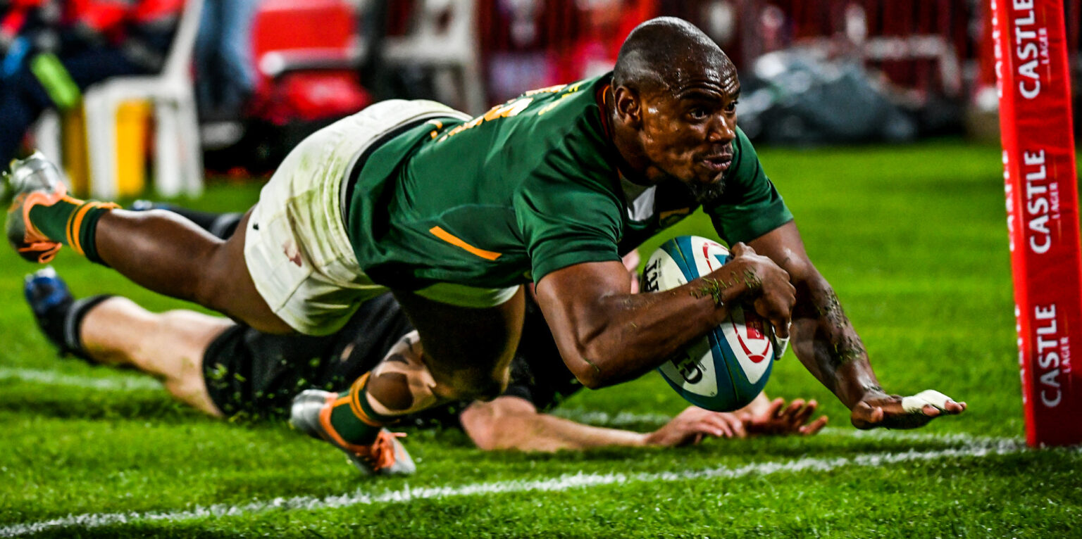 Springboks' top Rugby World Cup try-scorers at every tournament