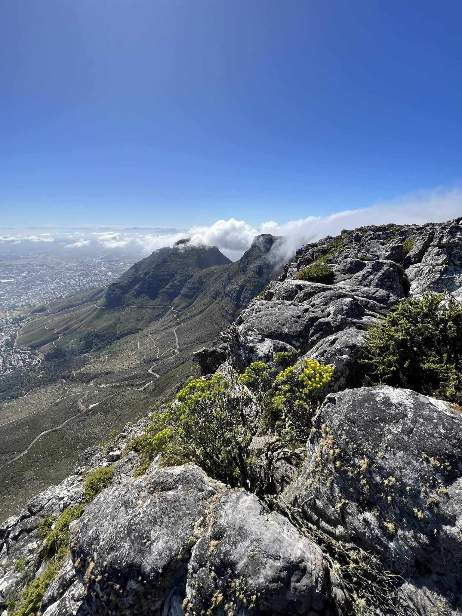 Firefighting Season Has Started with Fire on Table Mountain - SA People