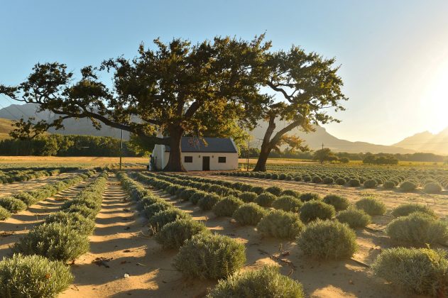 SA Michelin-Star Chef's JAN Franschhoek Sells Out in Less Than 72 Hours ...