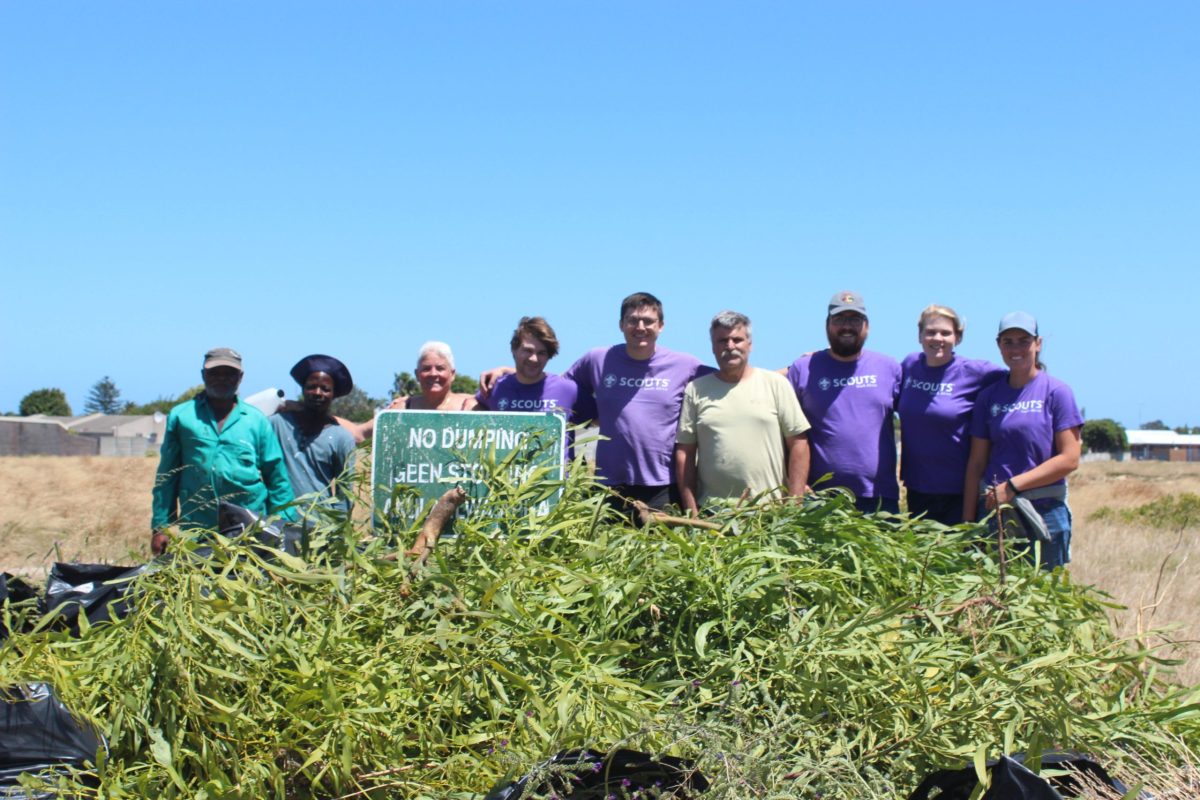 Capetonians Work to Save Rare Fynbos Species After Spotting Flowers in ...