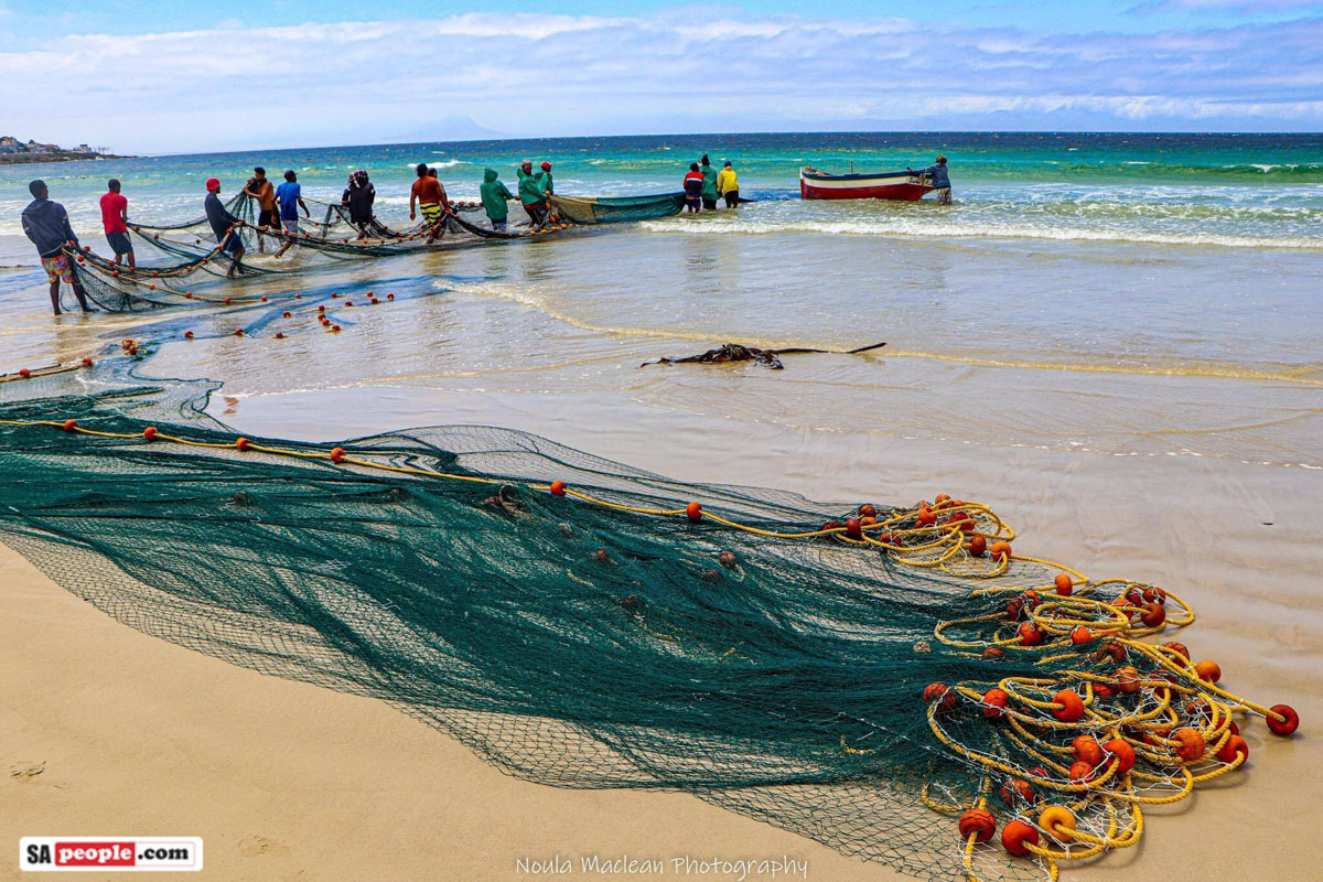 The colourful Trek fishermen of Fish Hoek and Yellowtail - PICTURES ...