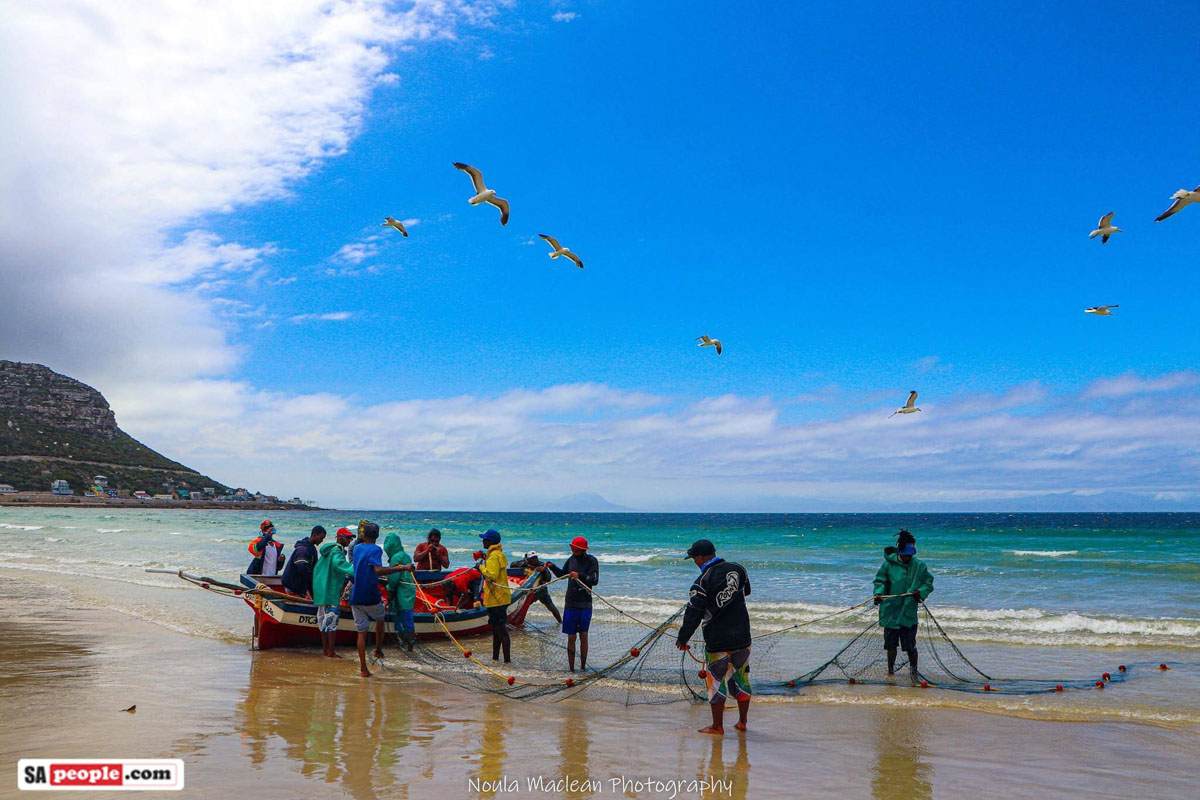 The colourful Trek fishermen of Fish Hoek and Yellowtail - PICTURES ...
