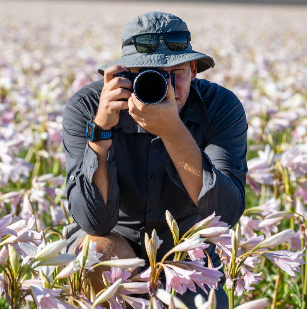 Cape Town photographer captures rare phenomenon: Sandhof lilies in full ...