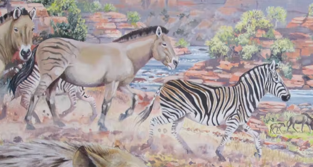 New discovery: fossilised giant zebra tracks found in South Africa - SA ...