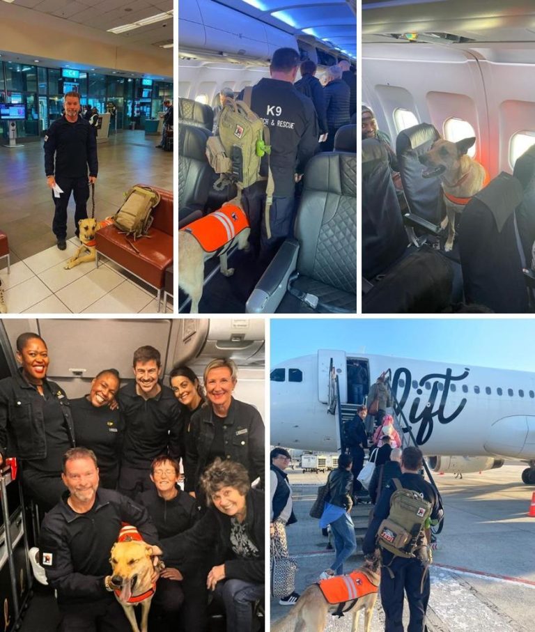 Woof! Jedi becomes SA's first search and rescue K9 dog to fly in cabin ...