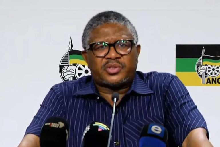 Mbalula says post-matric qualifications a key requirement to be an MP
