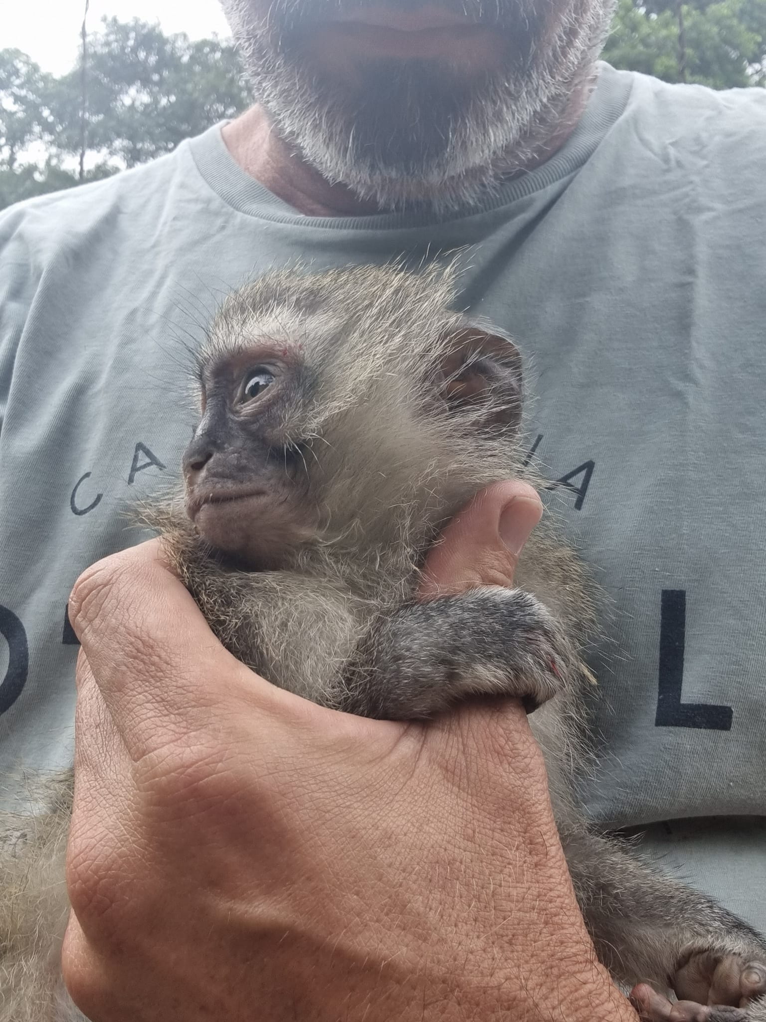 Durbanite rescues baby monkey from certain death: cutest photos - SA People