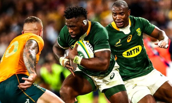 Rugby World Cup guide to the Wallabies - SA People