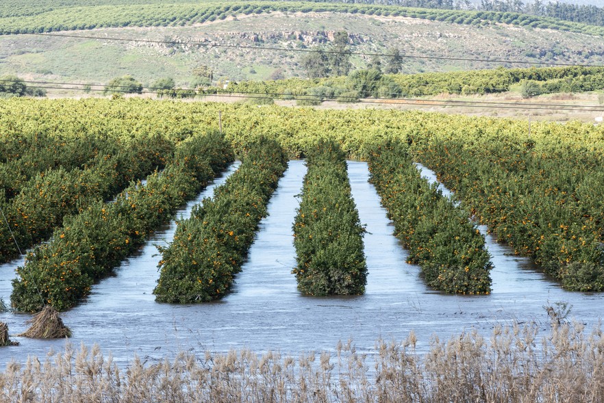 In photos: How Citrusdal got cut off from the world - SA People