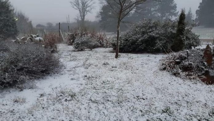 Light snowfall hits Johannesburg - SA People