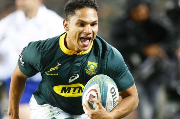 Do or die for this Springboks RWC hopeful: Time is now for Jantjies