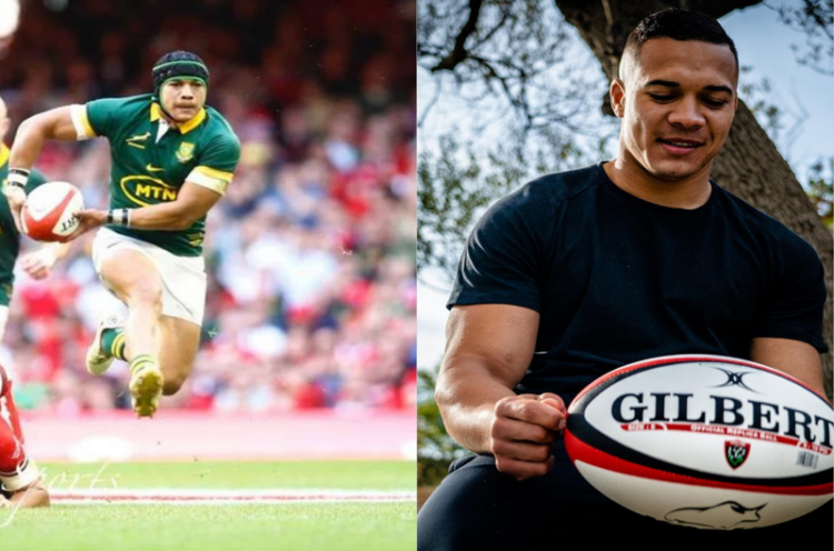 Springboks injuries: Kolbe down, another star returns - SA People