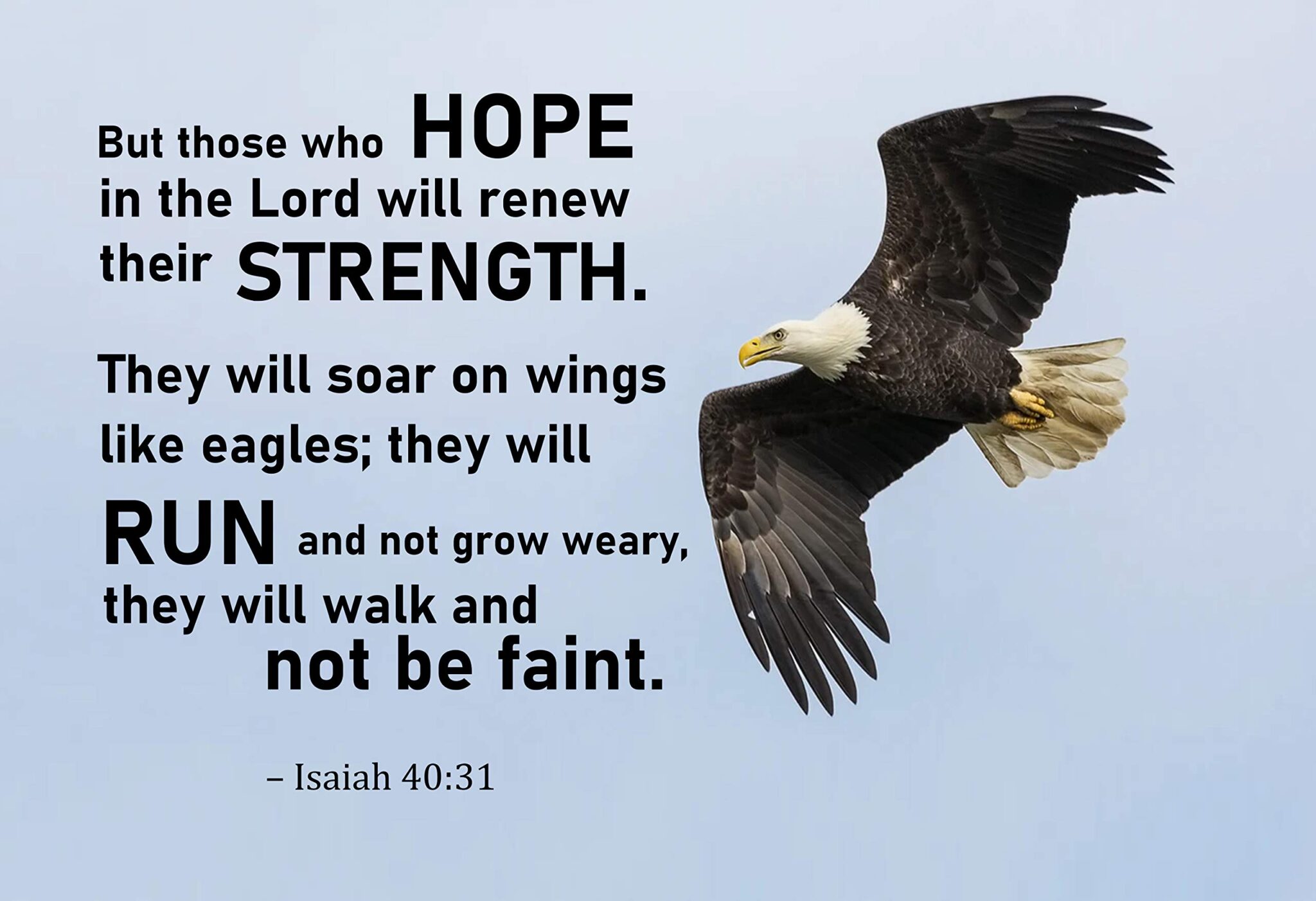 Bible Study: Vital verses about strength - SA People