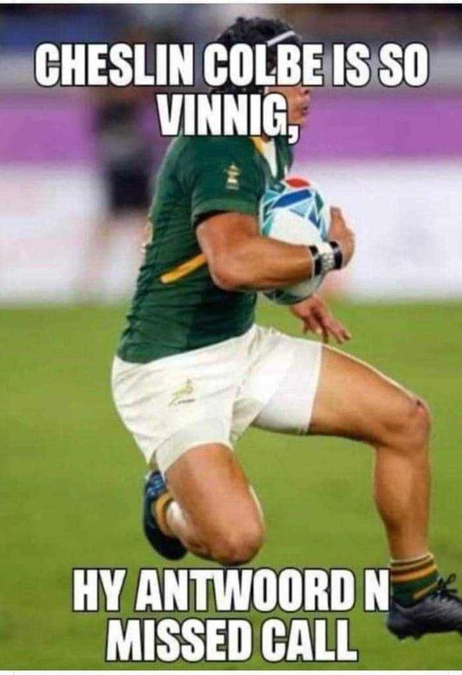 Springbok Jokes and Memes from France vs South Africa RWC quarter final ...