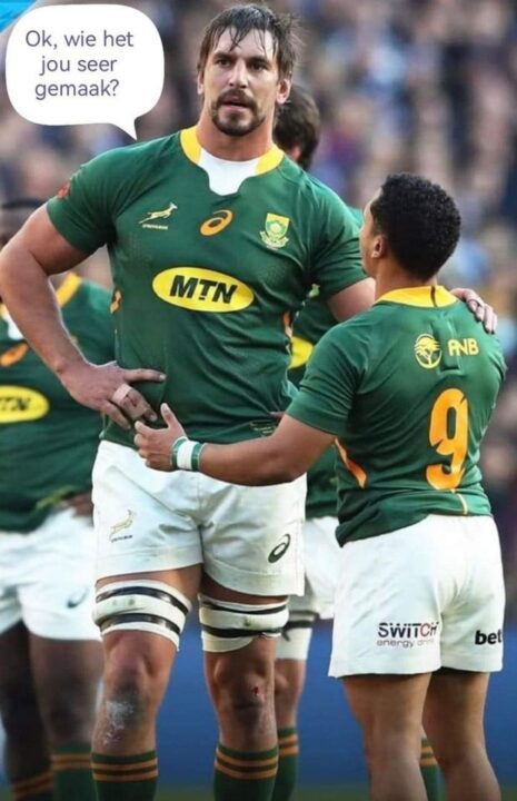 Springbok Jokes and Memes from France vs South Africa RWC quarter final ...