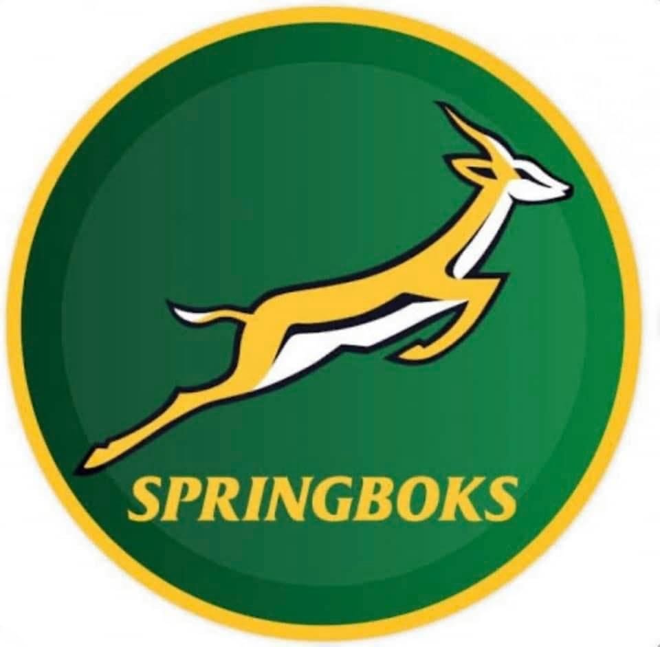 South Africans flood social media with Springbok profile pics - SA People