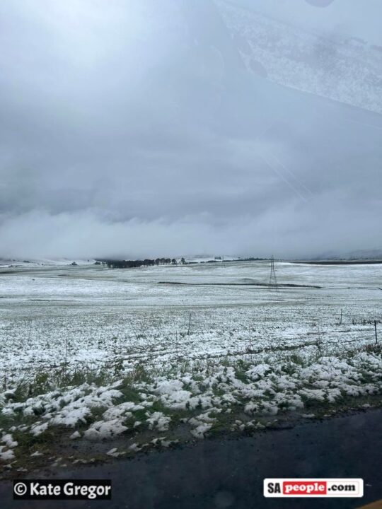 Snow ways! SNOW falls over Van Reenen's Pass in South Africa (and it's ...