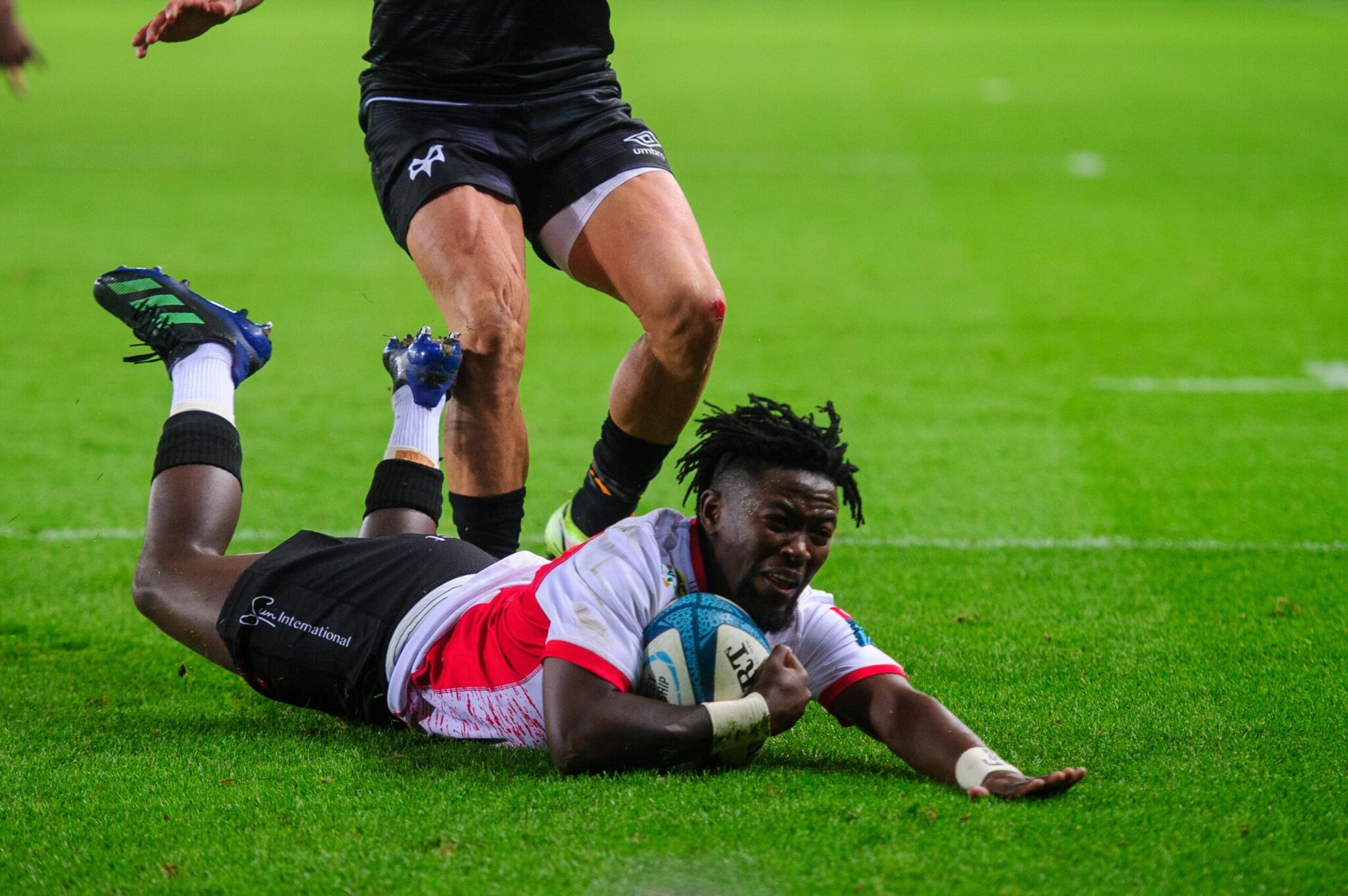 Springboks newcomers most likely to debut after alignment camp - SA People