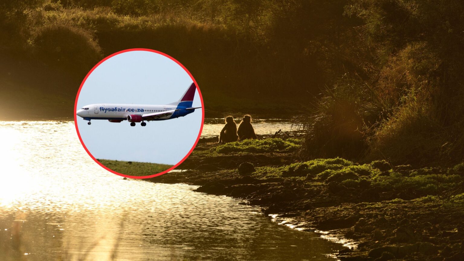 FlySafair announces new route: Here’s where they’re flying to - SA People