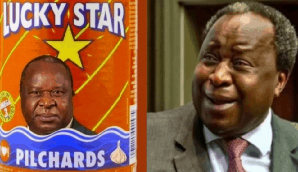 Is Tito Mboweni the new face of Lucky Star? SA reacts - SA People