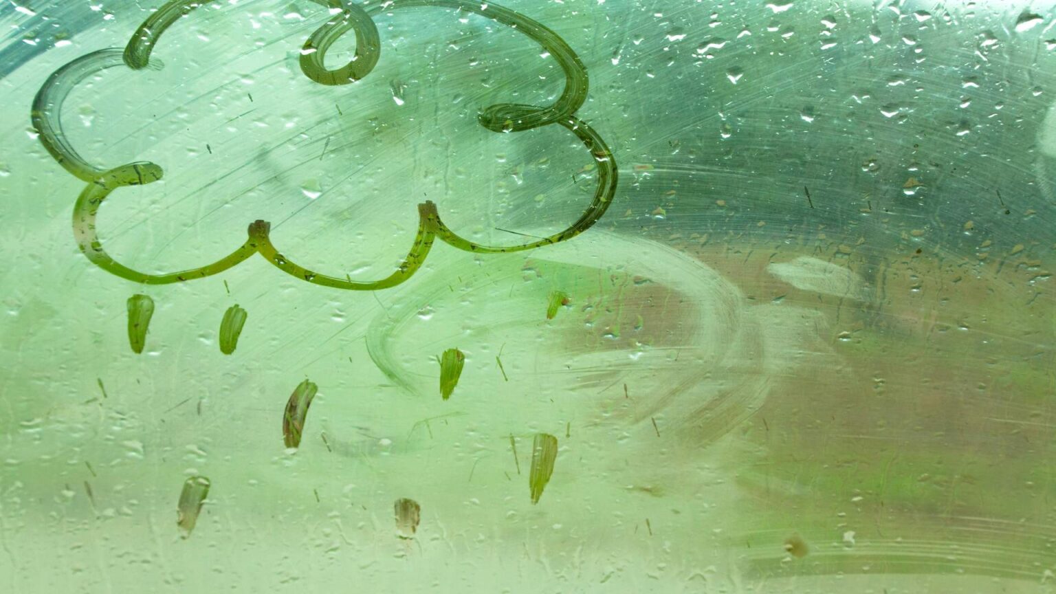 Six places to visit in Cape Town when it rains - SA People