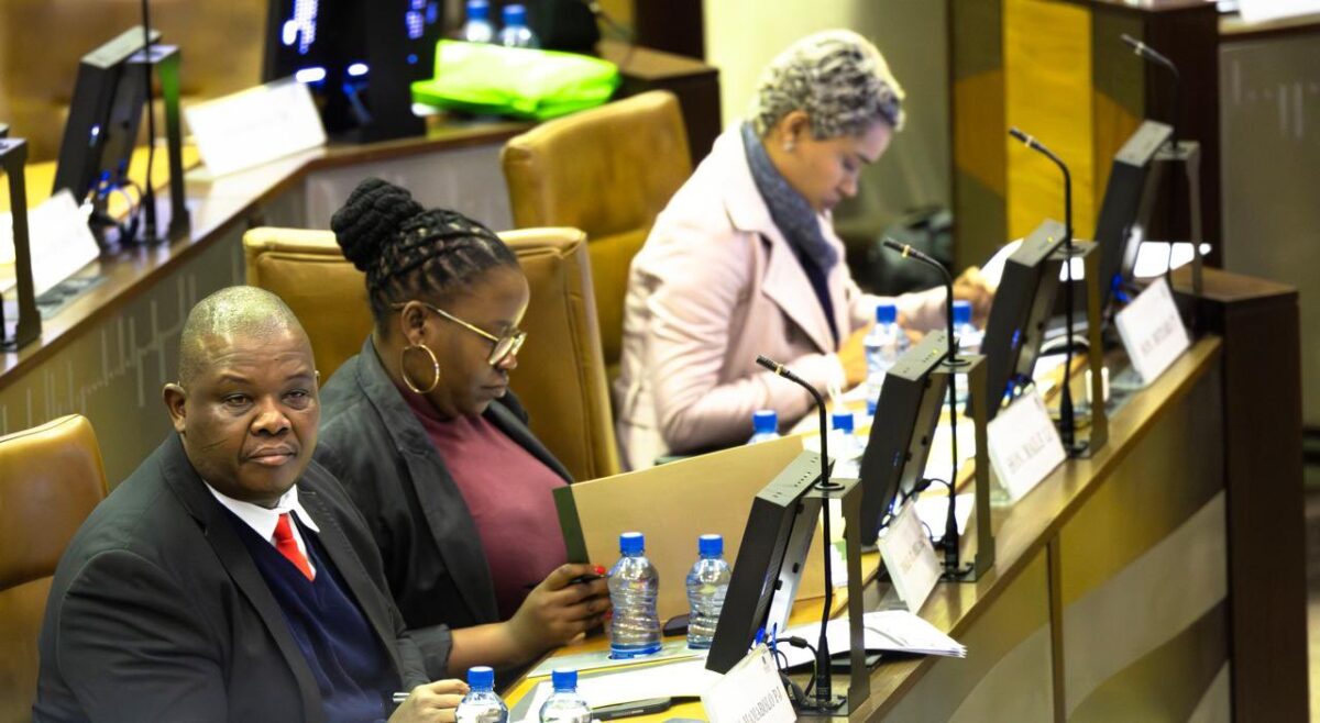 EFF and MK Party assist ANC in passing budgets in Gauteng - SA People