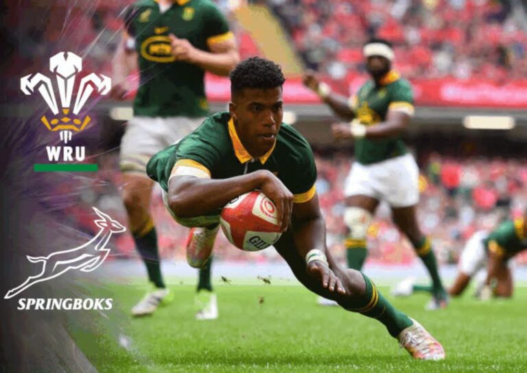 Springboks on the verge of adding the Rugby Championship title to their ...