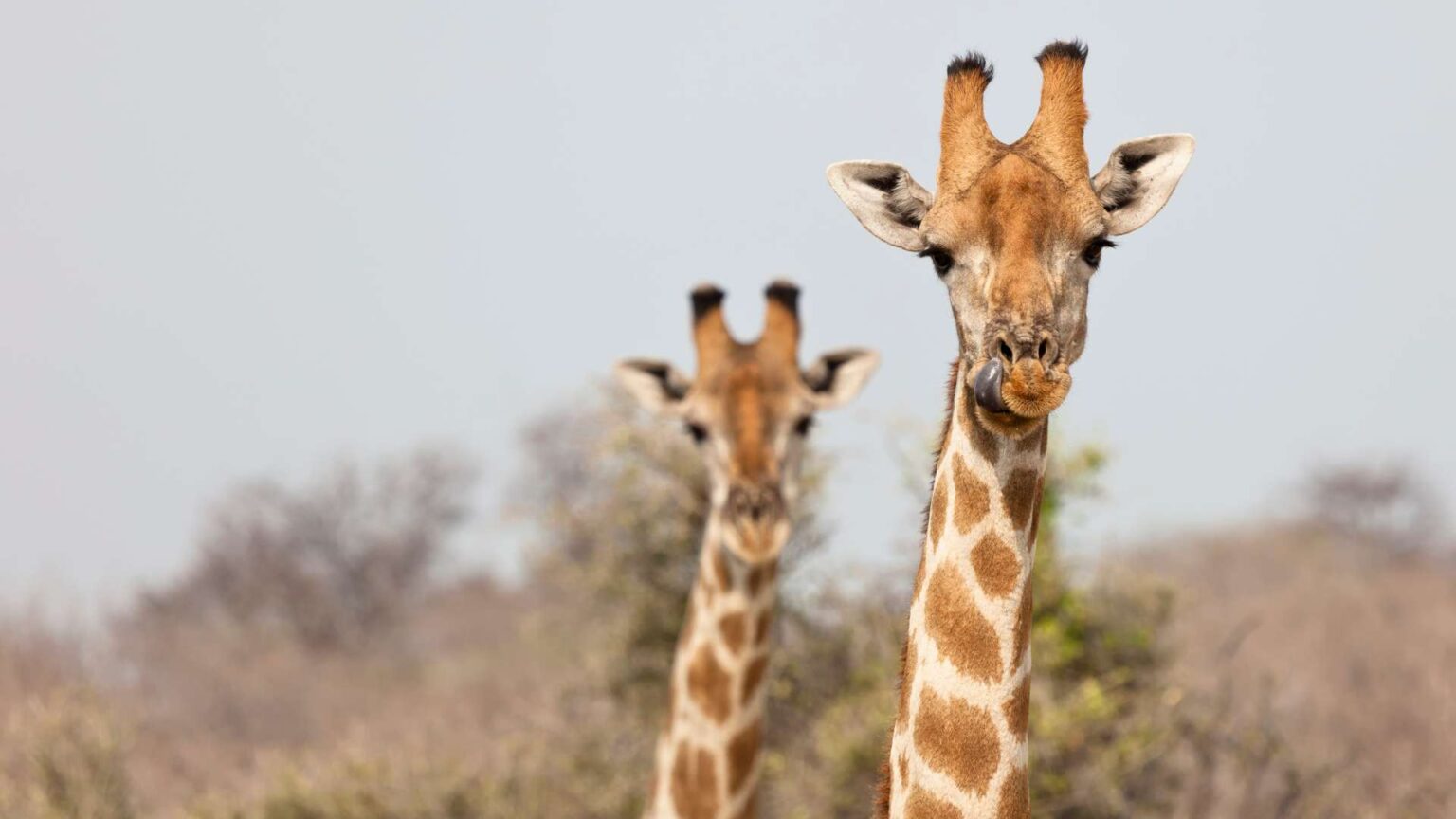 KwaZulu-Natal gets a new protected nature reserve - SA People