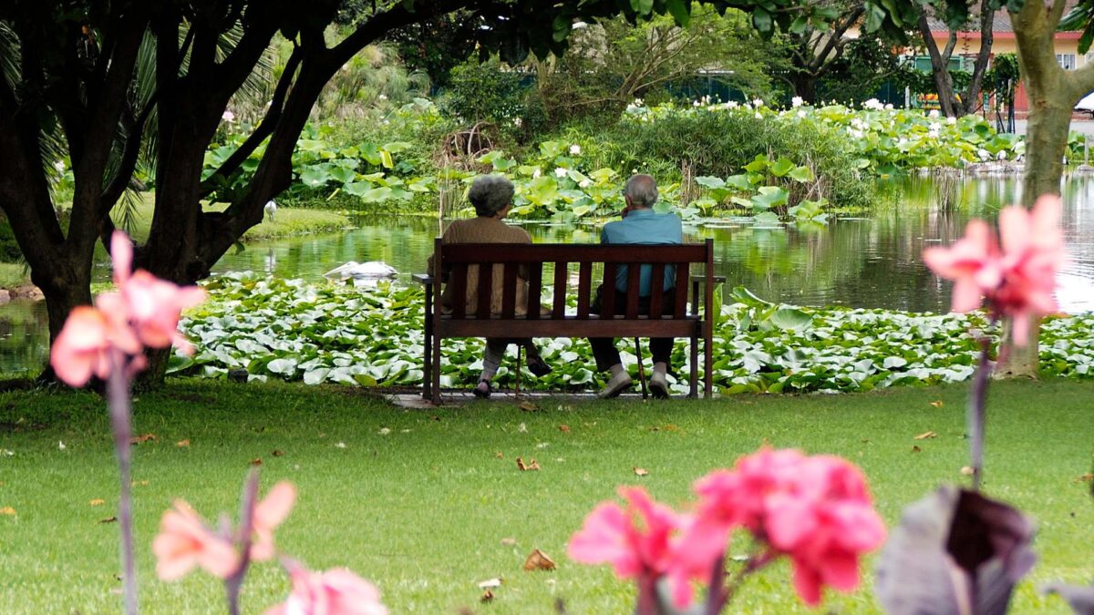 Five perfect parks in and around Durban you must visit - SA People