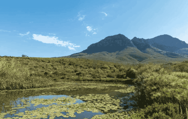 WATCH South African Schoolgirl is World's Fastest Under 18 Female Over ...